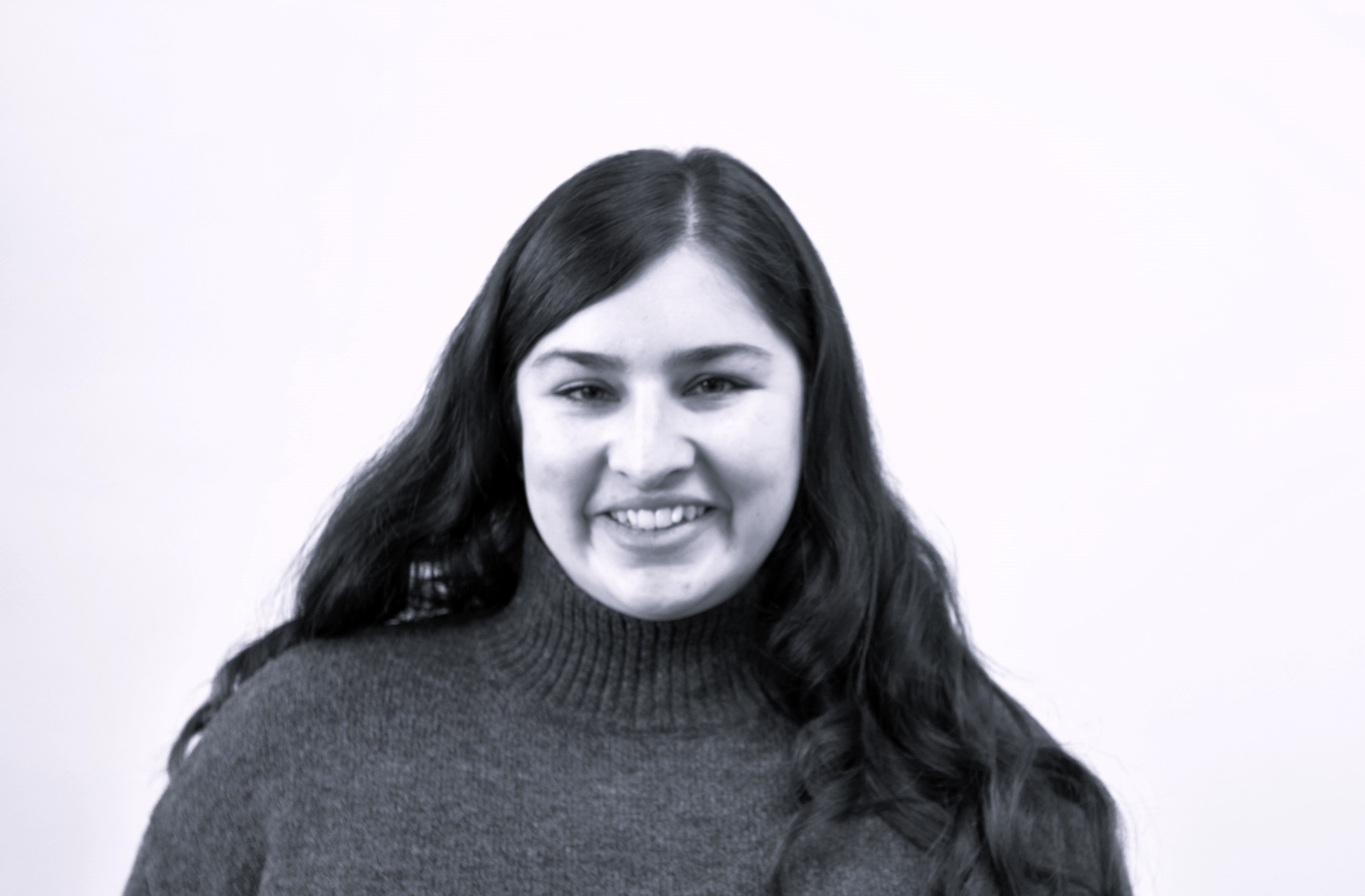 Meet The Team | Greyfox