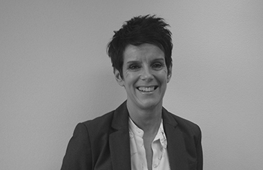 Meet The Team | Greyfox